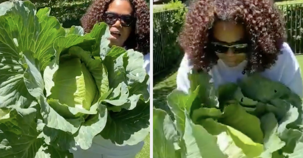 Oprah's Big Cabbage Is Truly A Sight To Behold