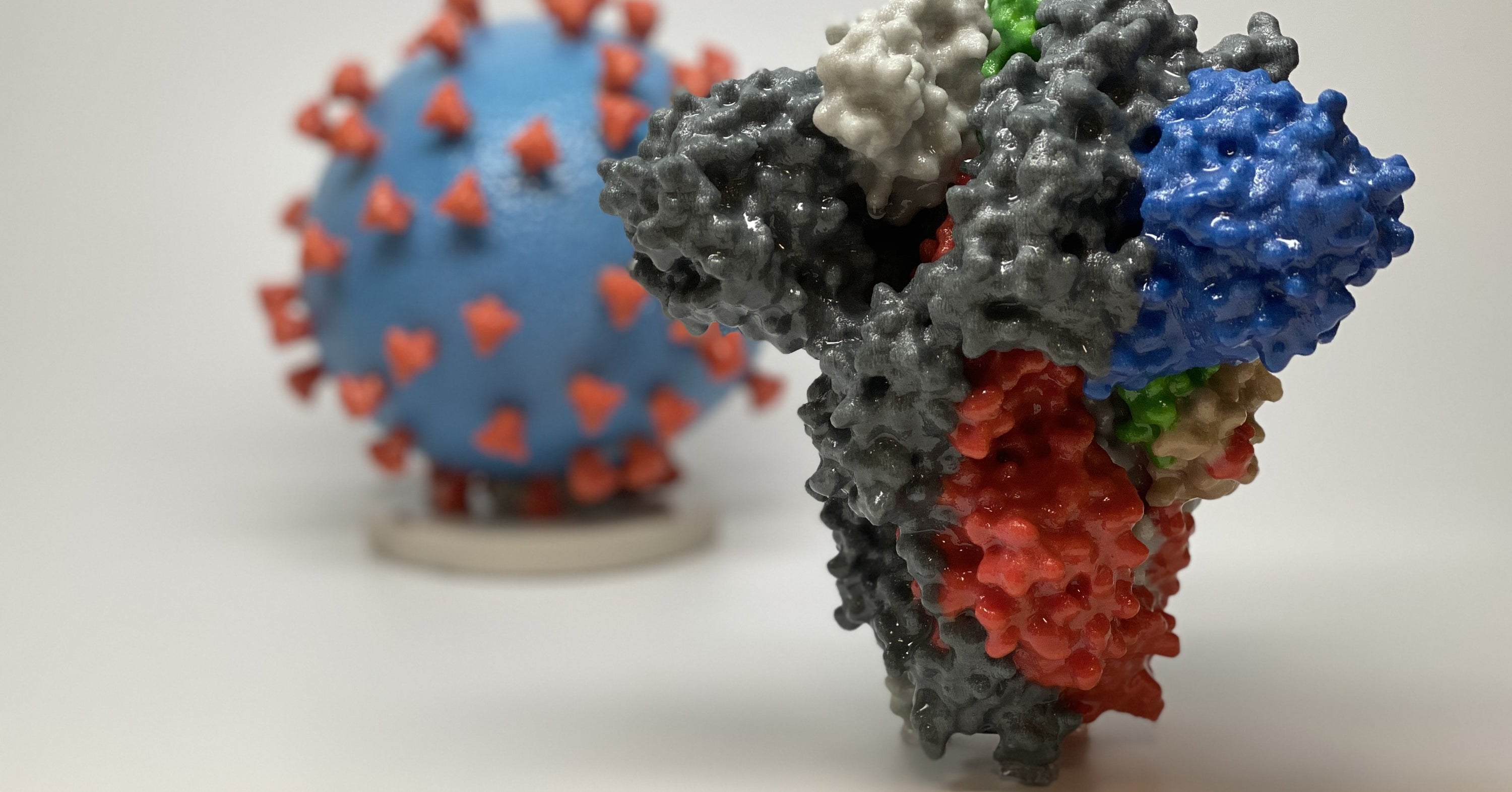 Coronavirus: Tips And Spikes Contain Mysterious Protein Loops