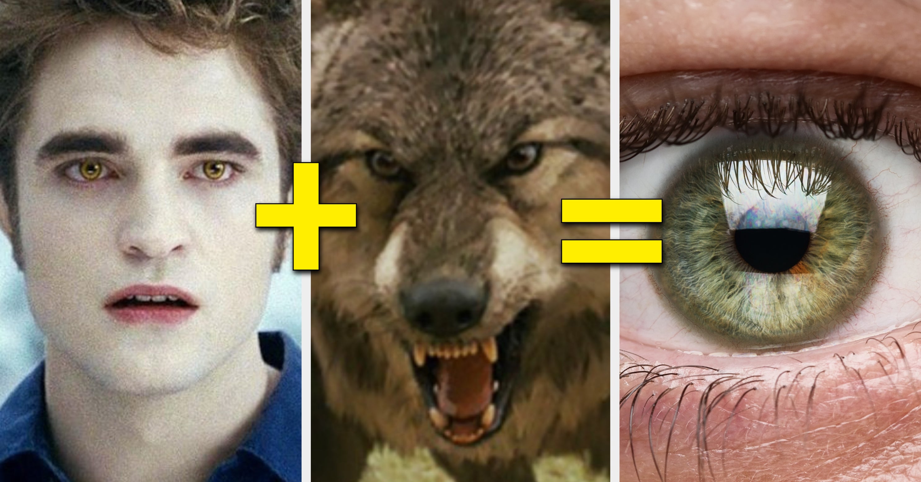Rewrite "Twilight" And We'll Tell You Your Soulmate's Eye Color