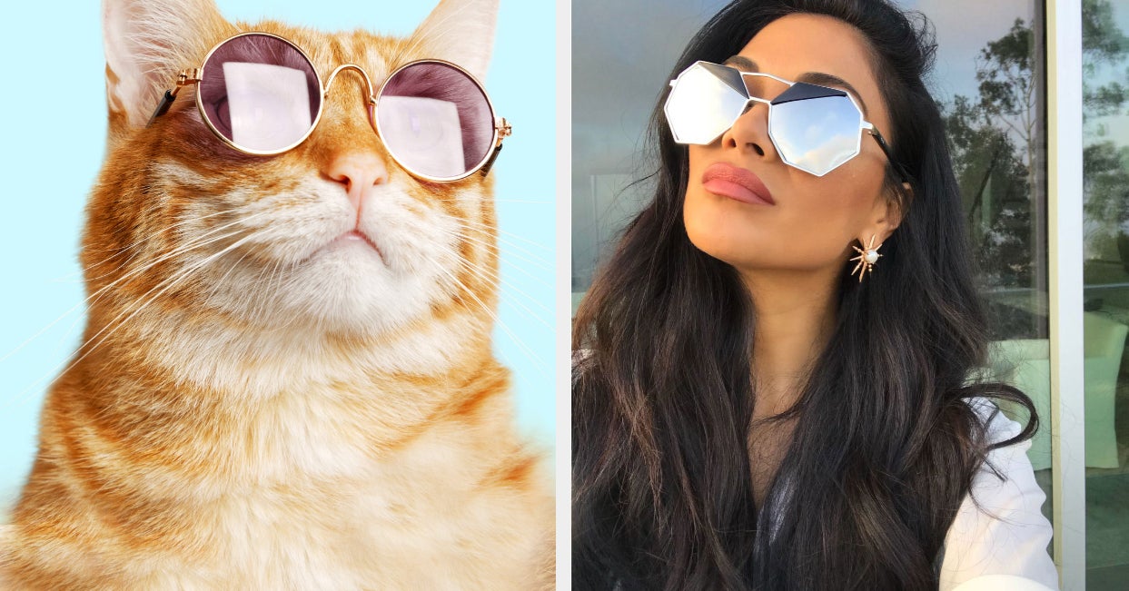 Quiz: Which Cat Breed Suits Your Personality?