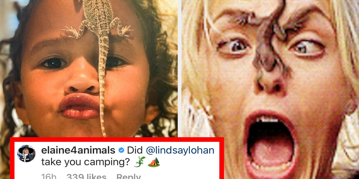 parent trap meredith lizard