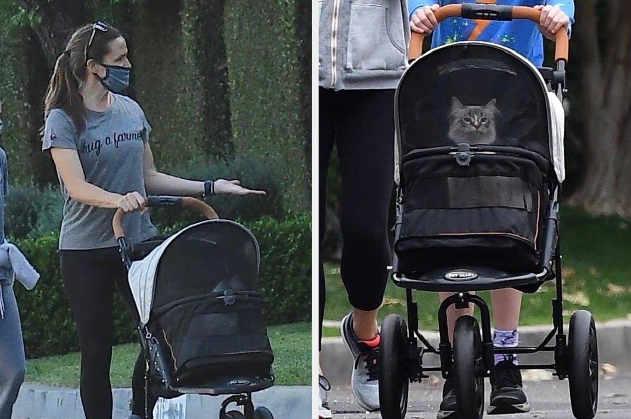 Jennifer Garner Pushing Her Cat Around In A Stroller While Taking A Walk