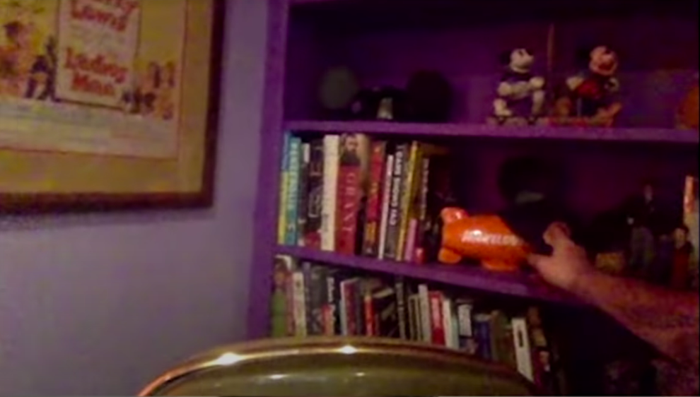 Drake Bell Gave A Tour Of His Disneyland-Themed House And OMG, It Is ...