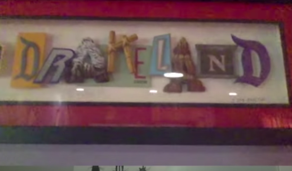 Drake Bell Gave A Tour Of His Disneyland-Themed House And OMG, It Is ...