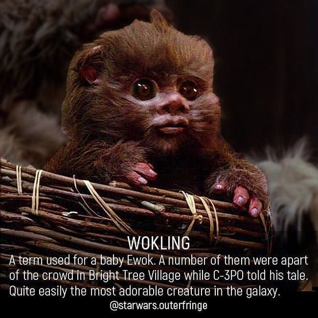 generalofthe212th on BuzzFeed