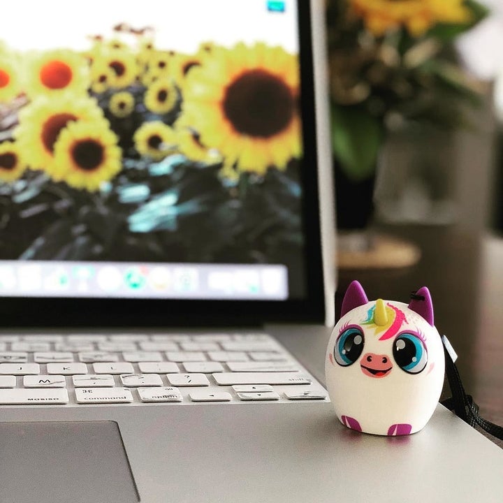 Cute And Useful Products On Amazon Canda
