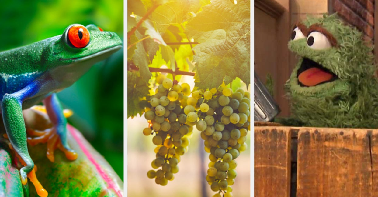 Can You Identify These Green Things?