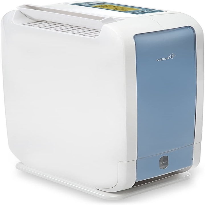 12 Best Dehumidifiers