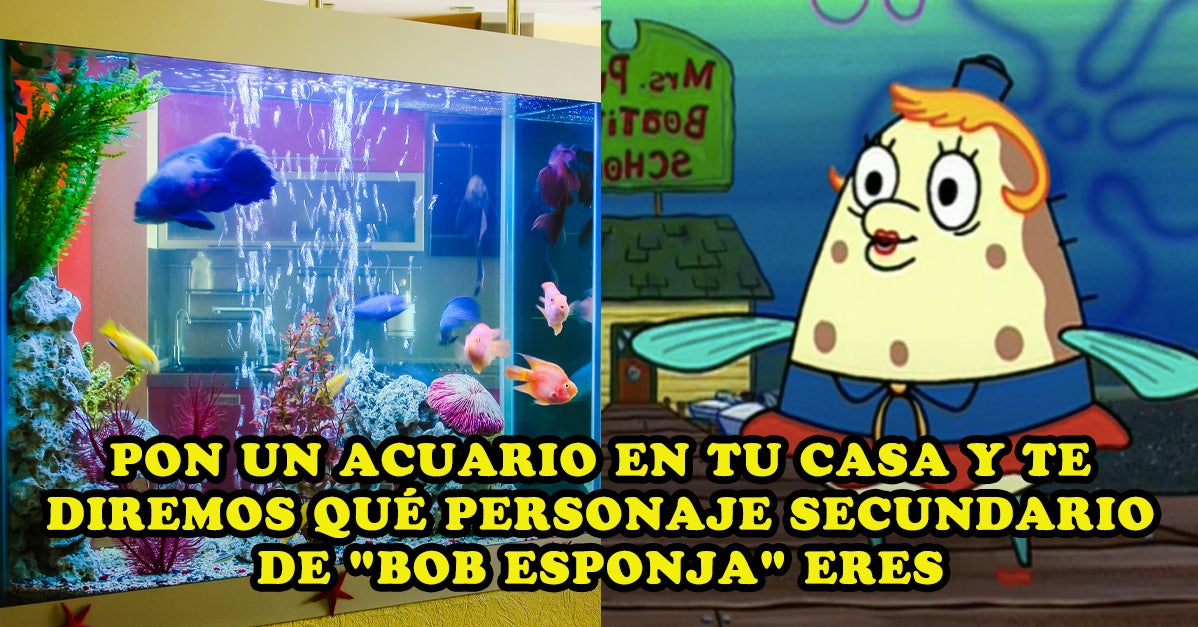 Arma Un Acuario En Tu Casa Y Te Diremos Qué Personaje Secundario De