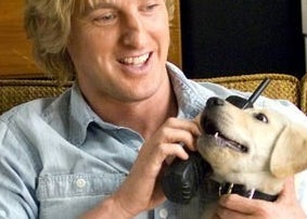 Which Actor Wasn't In These Rom-Coms?