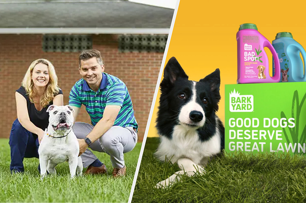 BarkYard Is Lawn Care Made Easy, And It Helps Veterans And Service Dogs Too