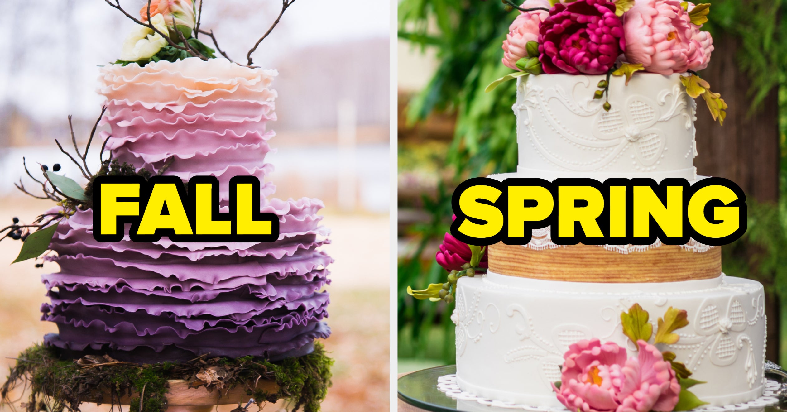 Make A Cake And We'll Guess The Season You Were Born In
