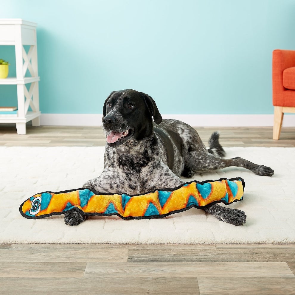 25 Things You Can Get On Sale At Chewy Right Now