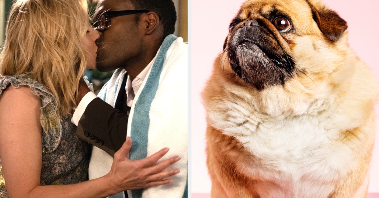 Soulmate Cute Animal Quiz