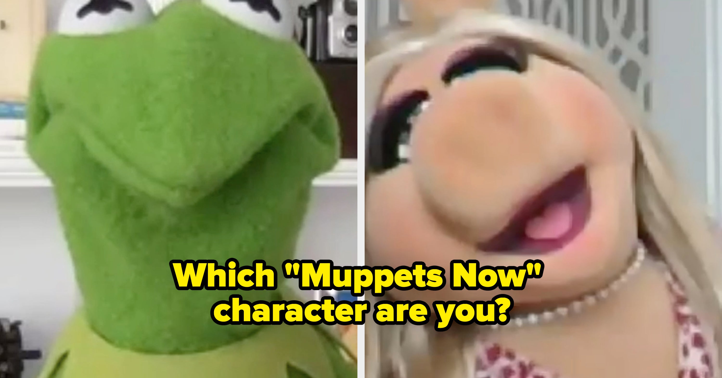 Muppets Now — Which Character Are You?