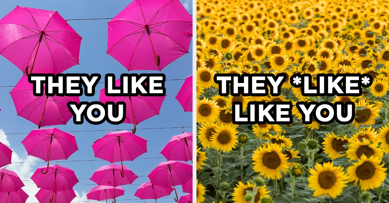 Does My Crush Like Me Colorful Image Quiz
