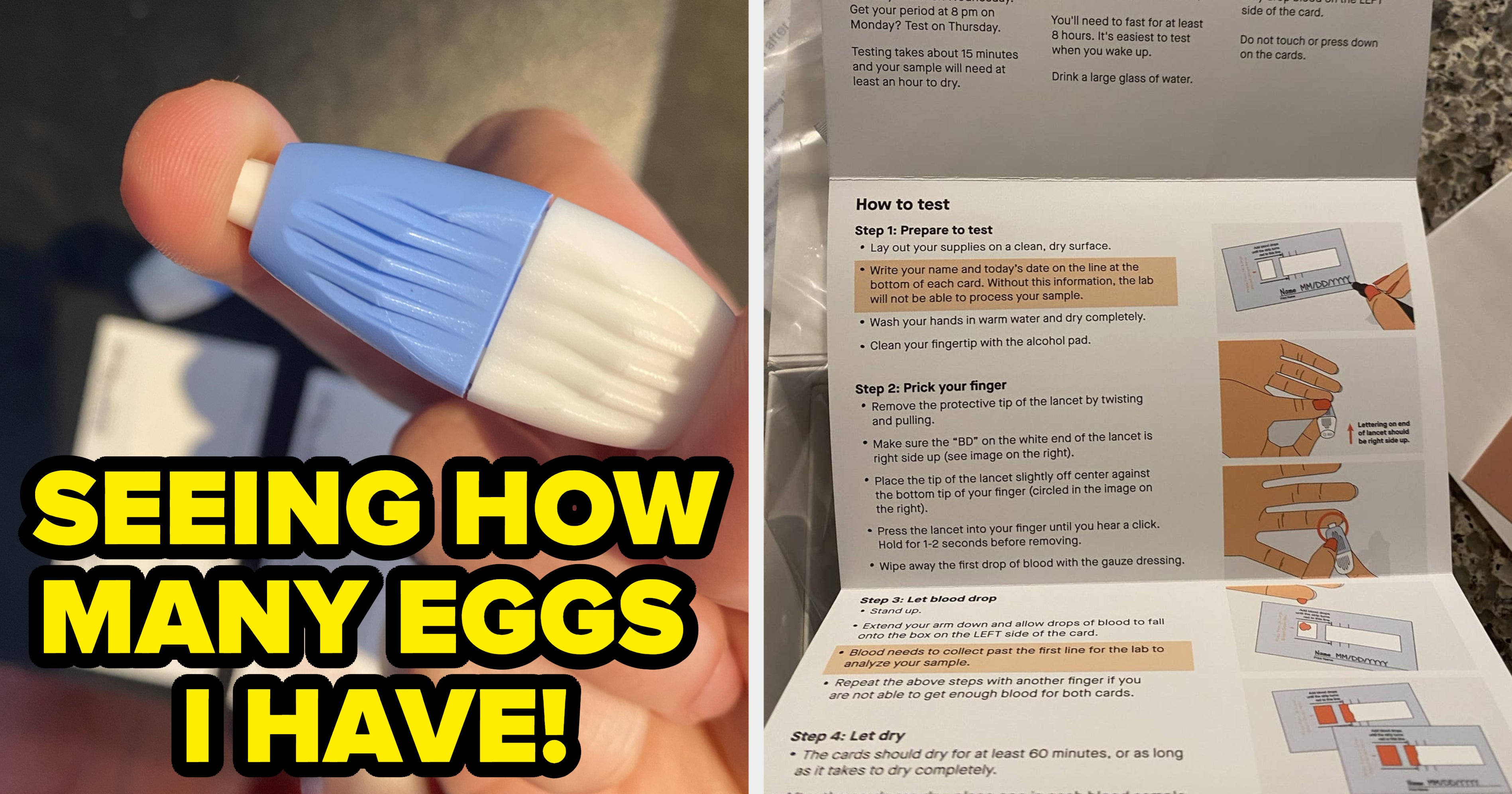 ovary egg count test