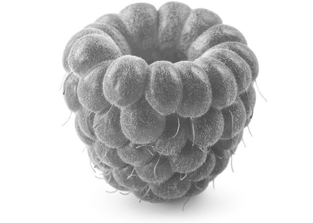 Foods Without Color Quiz