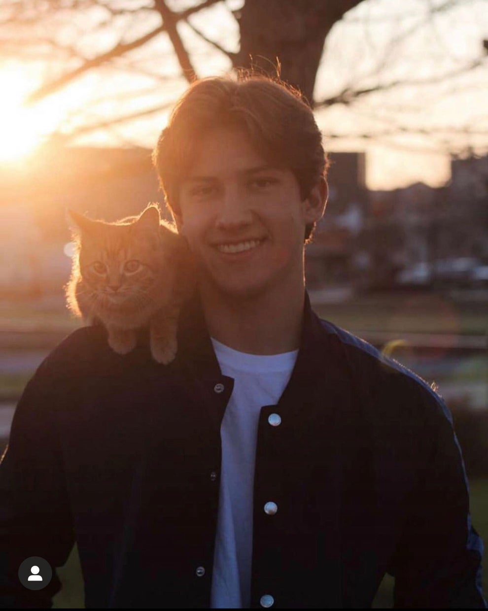 Cat Internet Is Making A Comeback On TikTok, Except Gen Z’ers Aren’t As ...