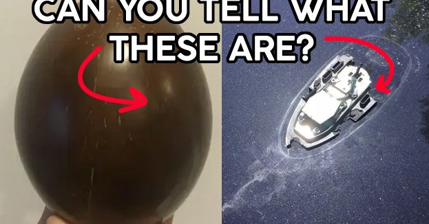 15 Fascinating Photos Of Things That You Probably Never Expected To See