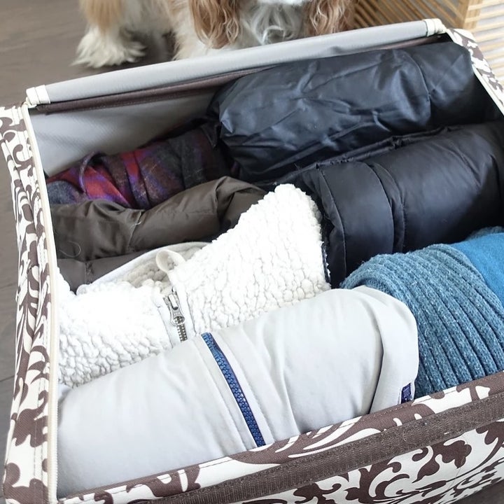 Expert Home Organization Tips From The Organized Soprano