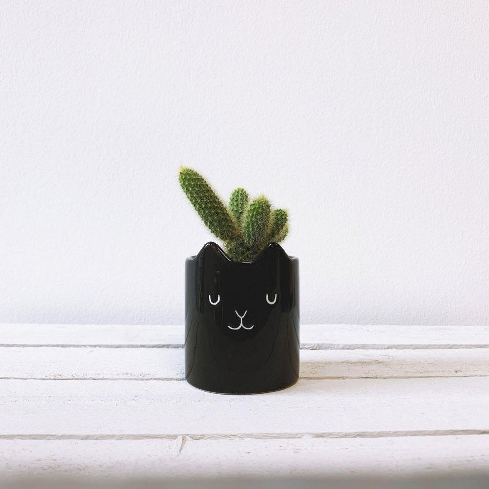 23 Fun Little Things For If You're Looking To Decorate Your Bedroom