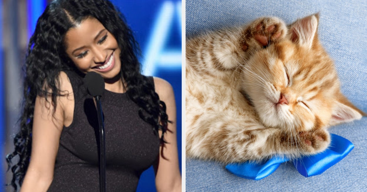 Cat Quiz Will Reveal What People Like Most About You