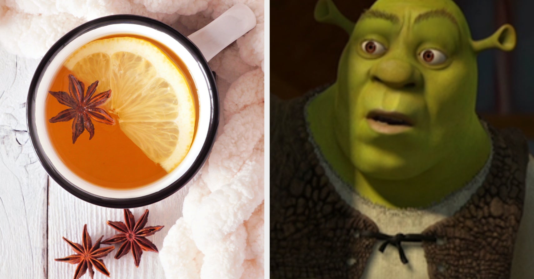This Fall Quiz Will Reveal Which "Shrek" Character You Should Be For ...