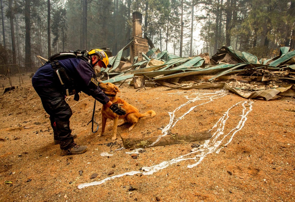 Oregon Wildfires Aftermath Captured In Photos