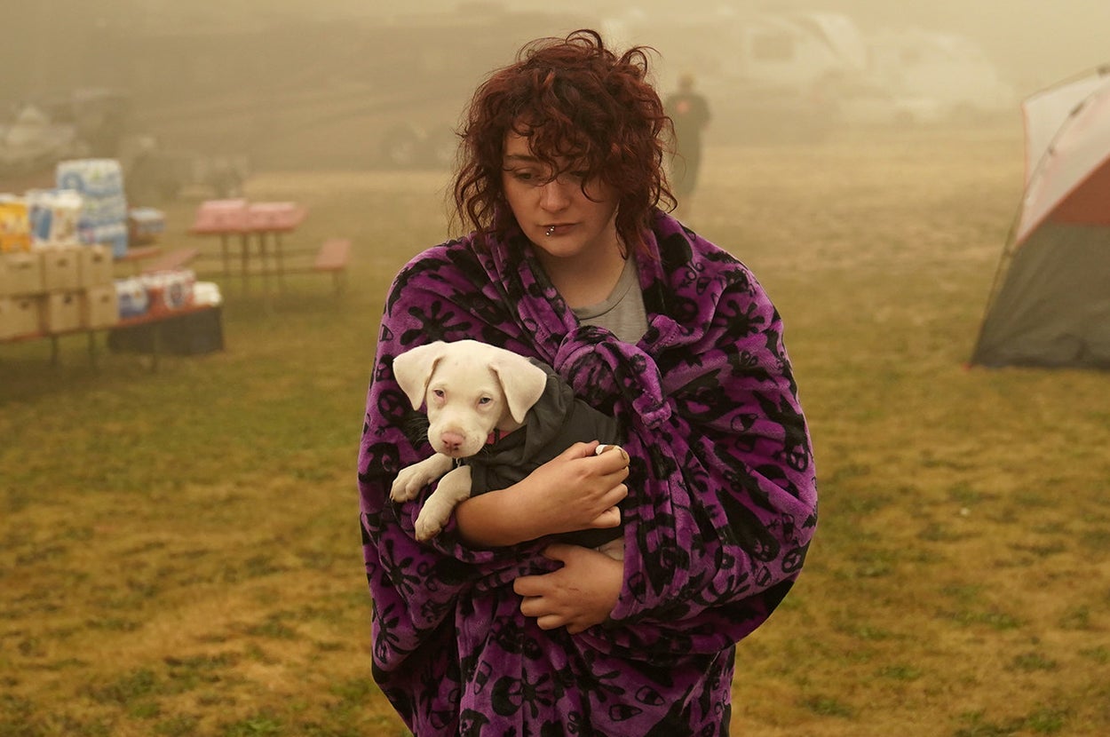 Oregon Wildfires Aftermath Captured In Photos