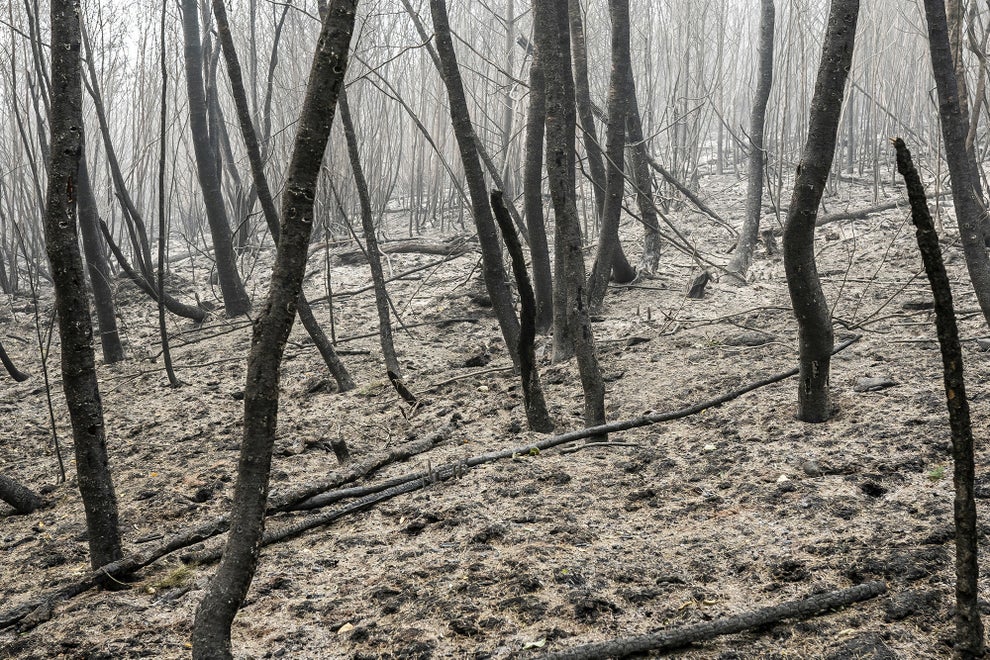 Oregon Wildfires Aftermath Captured In Photos