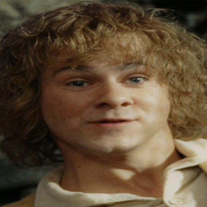 What The Cast Of "Lord Of The Rings" Looks Like Now