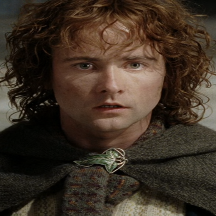 What The Cast Of "Lord Of The Rings" Looks Like Now