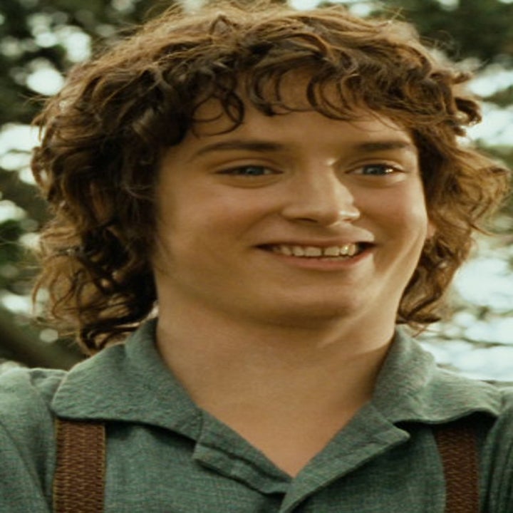 What The Cast Of "Lord Of The Rings" Looks Like Now