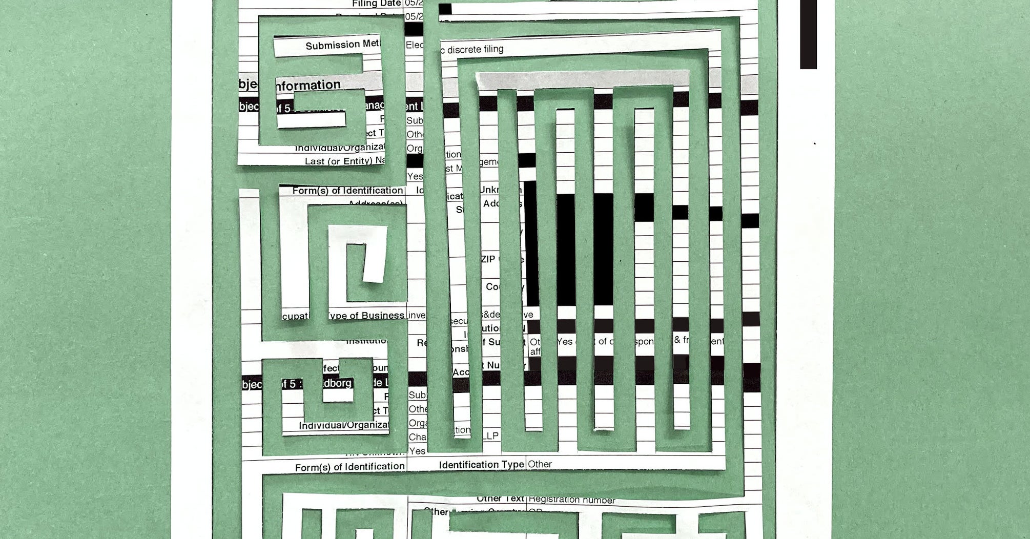FinCEN Files Explainer: How BuzzFeed News And ICIJ Did It