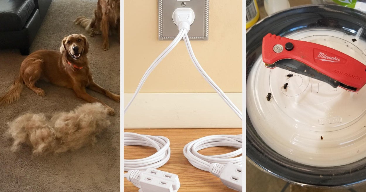29 Things That'll Help Prepare You For The Apartment Problems You Might ...