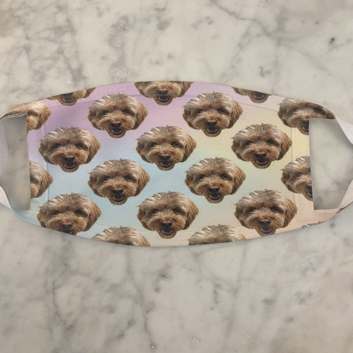 You Can Get A Face Mask With Your Pet's Face On It