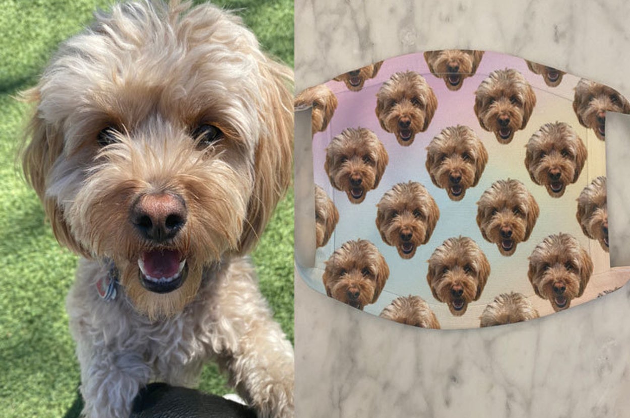 You Can Get A Face Mask With Your Pet's Face On It