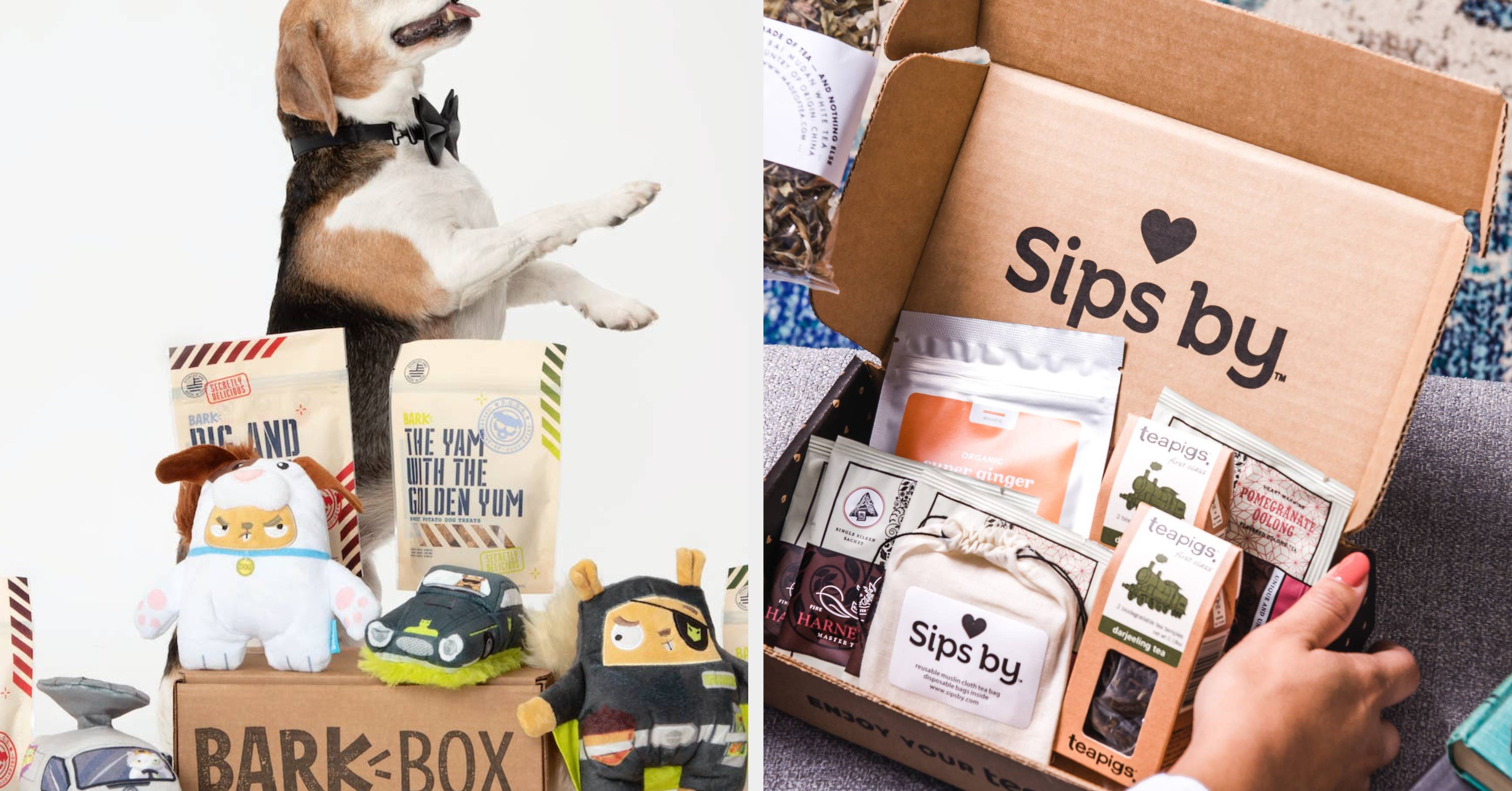 The 40 Best Subscription Boxes For 2020 To Know About