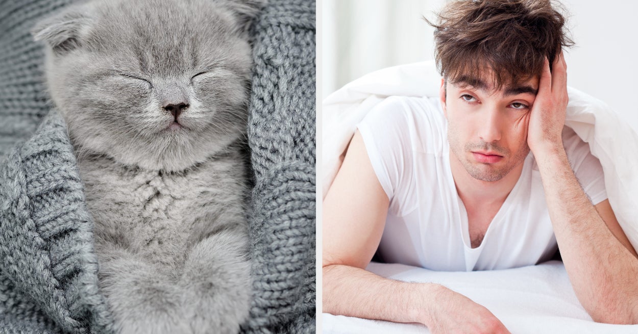 Should I Go To Sleep Right Now Quiz