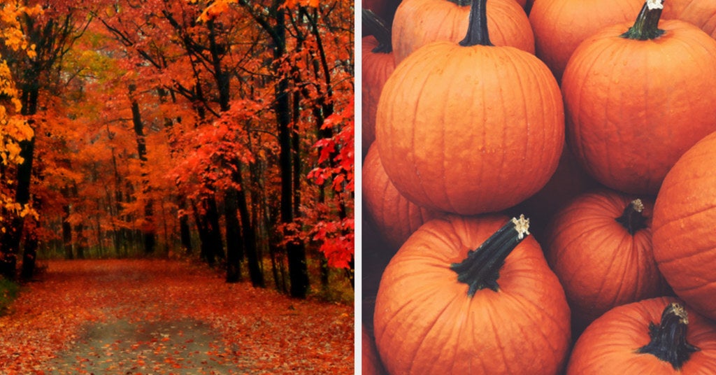 What's Your Fall Color?