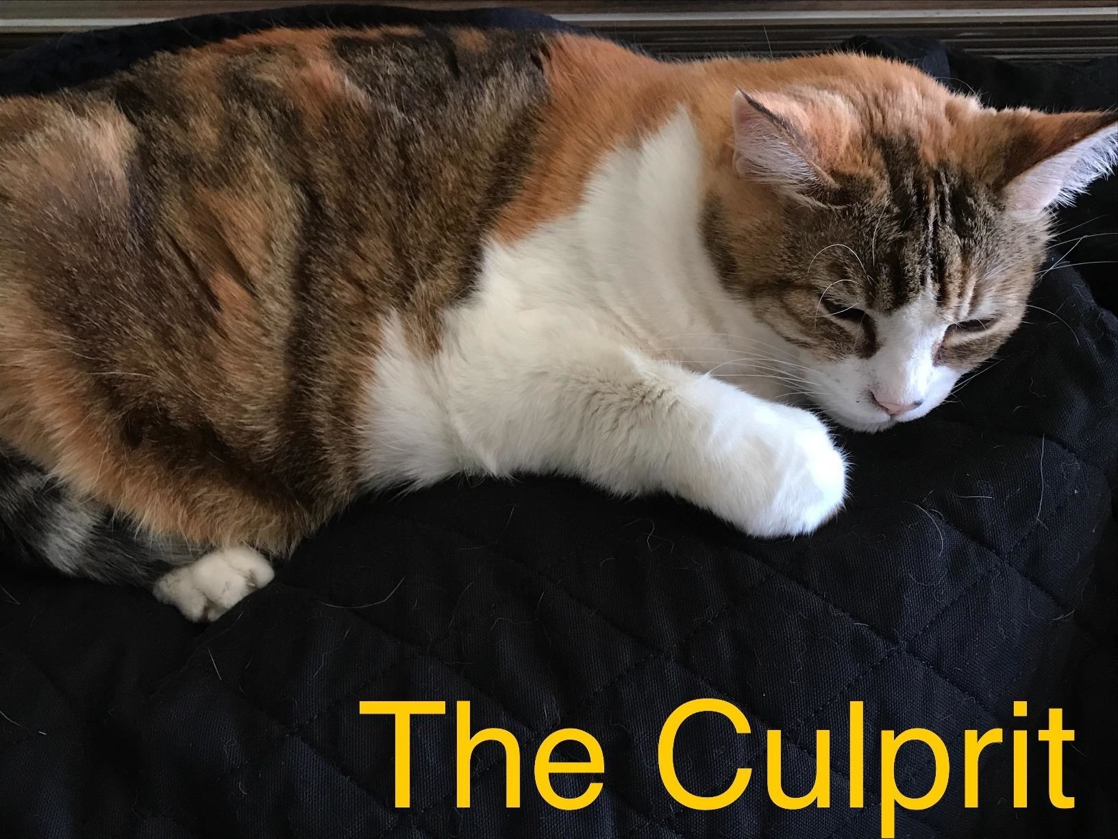 Things That Should Be In Every Junk Drawer