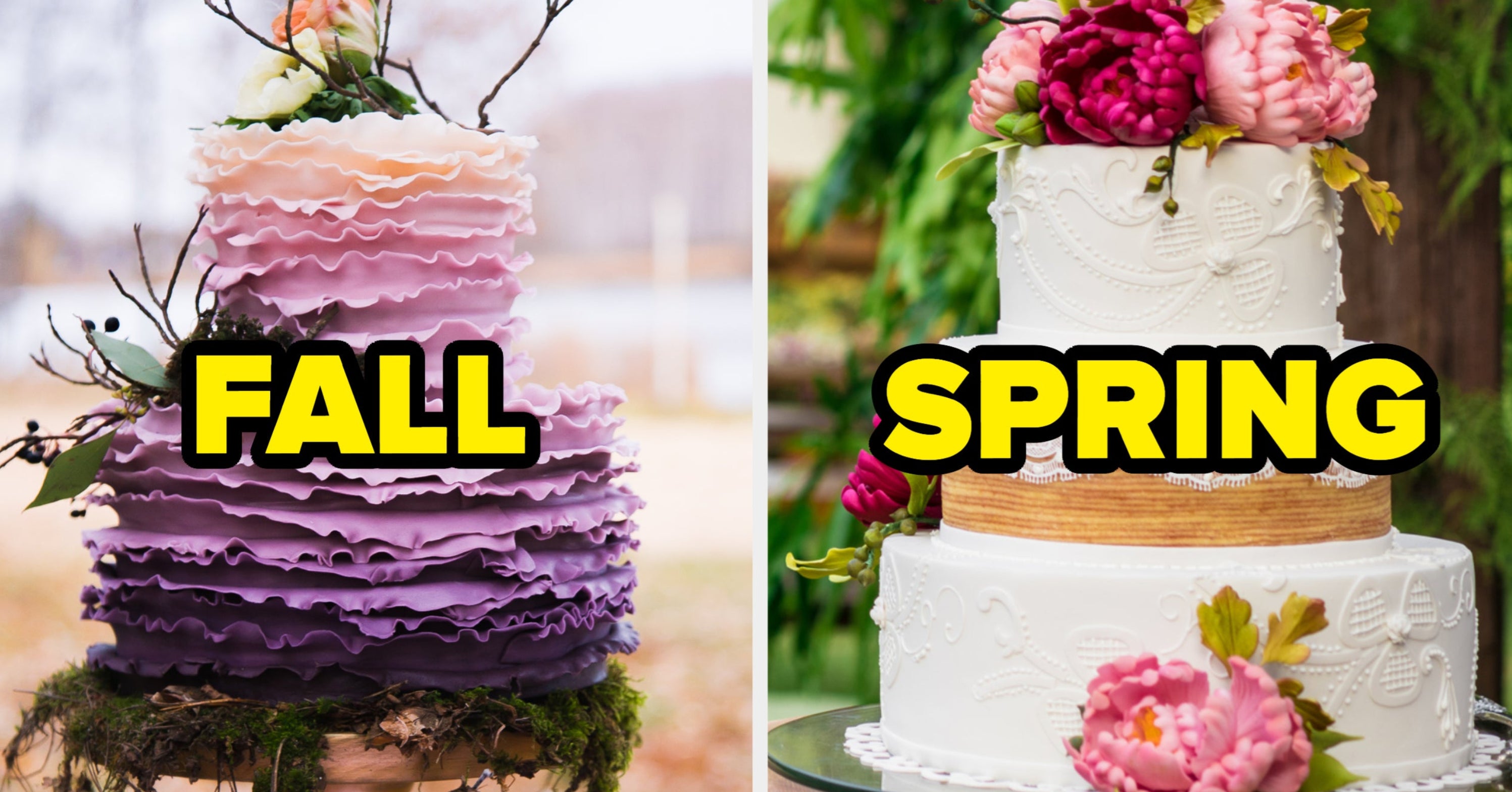 Which Season Matches Your Personality Cake Quiz