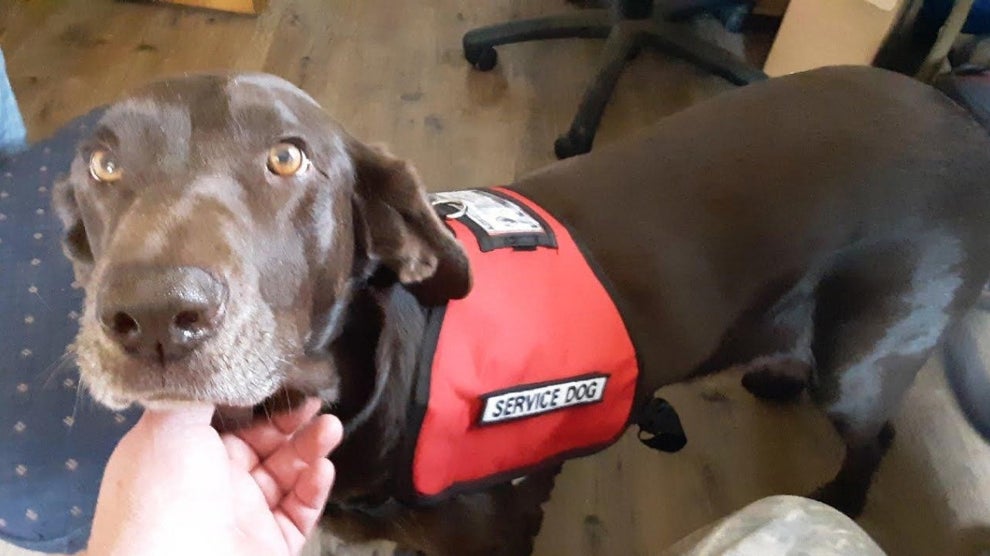 27 Things From Amazon Pet Owners Have Said Are “A Lifesaver”