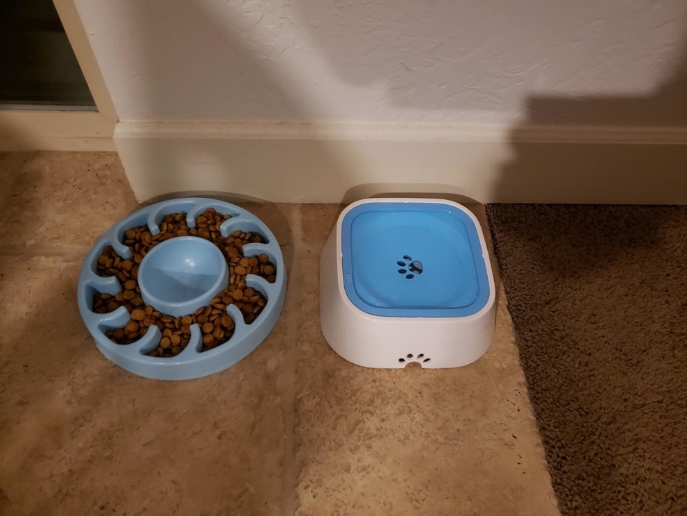 20 Pet Products From Amazon For Pit Bull Owners