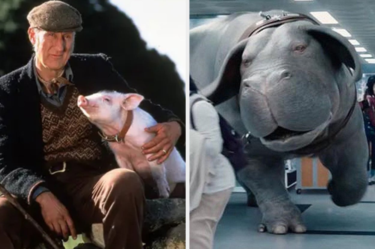 17 Eye-Opening Films And Documentaries That Made People Cut Out Meat