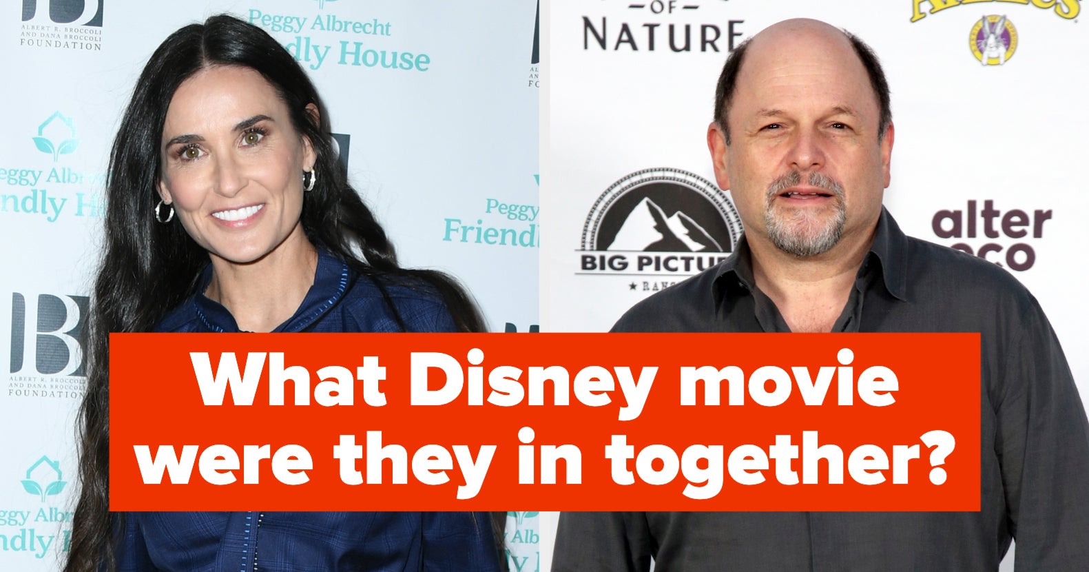 Can You Name The Disney Movie From Two Cast Members?