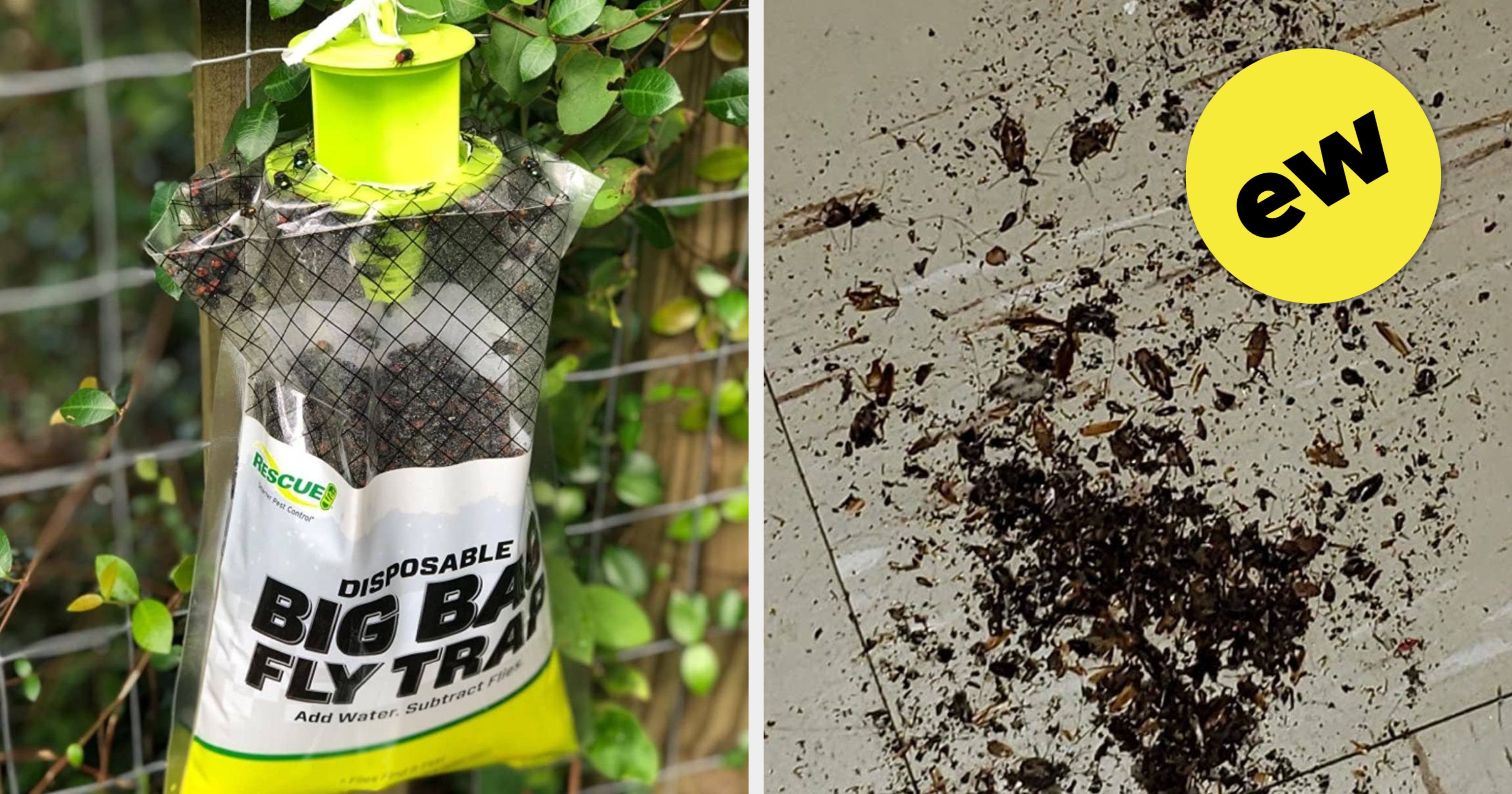 34 Things For Anyone Who Hates Bugs