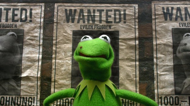 Muppet Opinions Poll