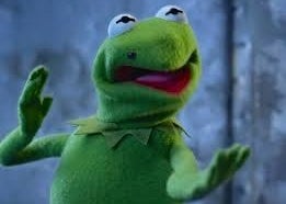 Muppet Opinions Poll